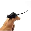 Amazon.com: Exasinine 20 Pcs Mini Simulated Mouse Model Realistic ...