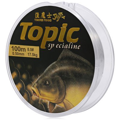 100M Nylon Transparent Fishing Line - TRANSPARENT : Amazon.in: Electronics
