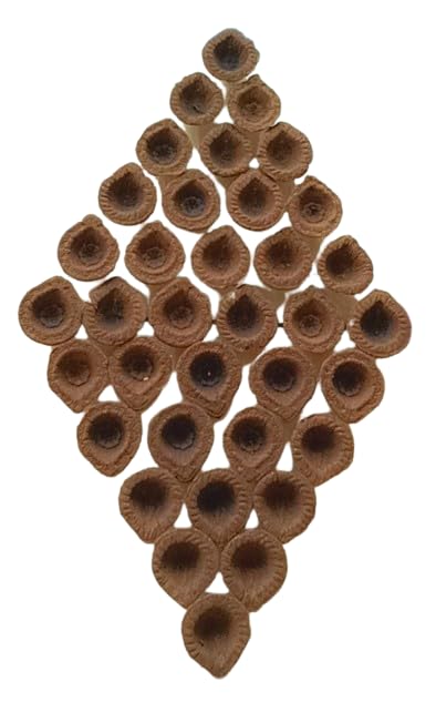 Vanasakhi Gomay Panati | Gir Cow Dung Herbal Diya | Handmade, Sundried ...
