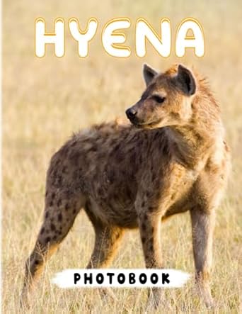Hyena Photobook: 40 Best Selected Images Of Hyaenas For Everyone To ...