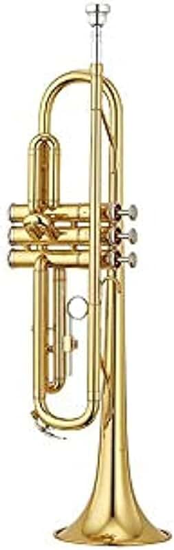 Amazon.com: Trumpets - Trumpets / Brass Instruments: Musical Instruments