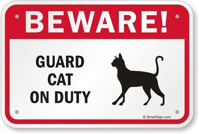 Beware! Guard Cat On Duty (with Graphic), High Intensity Reflective ...