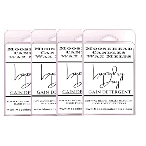 Amazon.com: Laundry Day Wax Melts 4 Pack – Fresh & Clean Gain Detergent ...