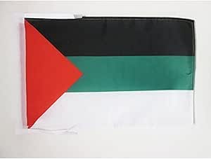 Amazon.com : Pan-Arabism Flag 18'' x 12'' cords - Arabist SMALL flags ...