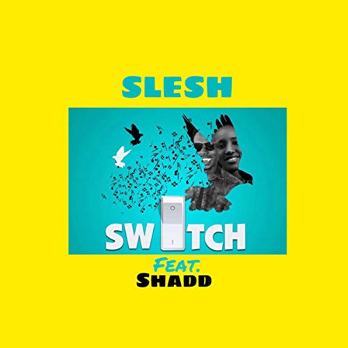 Play Switch by Slesh feat. Shadd on Amazon Music