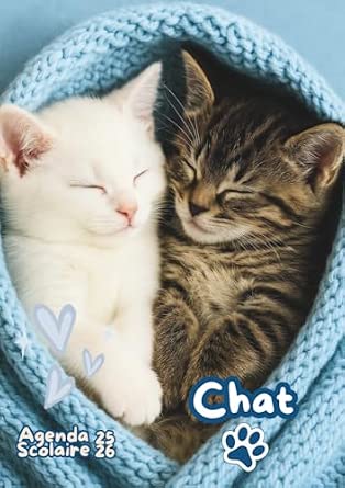 Amazon.com: Agenda Scolaire 2025 2026 Chat: Thème Animaux, Chatons ...