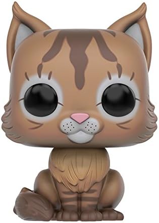 Amazon.com: Funko POP Pets: Pets - Maine Coon Action Figure : Funko Pop ...