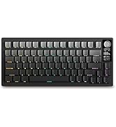 Amazon.com: FKZ GMK70 Split Mechanical Keyboard Kit,65% Alice-Layout ...