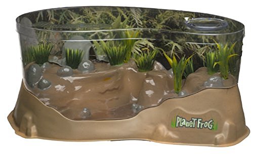 Uncle Milton Planet Frog (Colors may vary) | Amazon price tracker ...