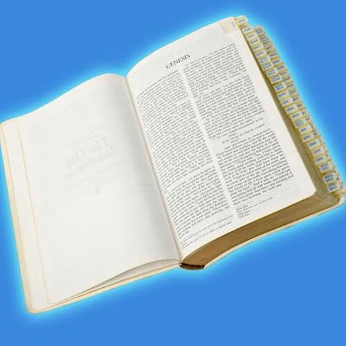 Amazon.com: La Biblia Reina Valera 1960 : Brian Almeida: Audible Books ...