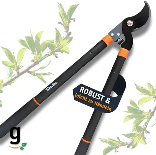 Gardazon Teleskop-Astschere mit Bypass-Klinge - (61-95 cm) Lang ...