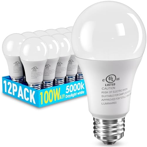 12 Pack LED Light Bulbs 100 Watt Equivalent, A19 15W 5000K Daylight ...