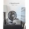Amazon.com: HOLMES BLIZZARD 7" Table Fan, 2 Speeds, 3 Blades, 85 ...