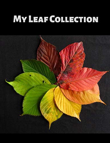 My Leaf Collection: Activity Book for Adults and Kids of All Ages in 8. ...