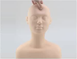 Amazon.co.jp: Teaching Model, Professional Model Head Form Head ...