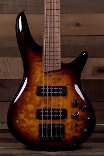 Types Of Bass Guitar: Which Is Best For You?