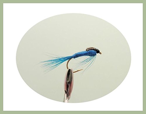 Buy Damsel Nymph Trout Flies, 6 Teal Blue Damsels, Choice of Sizes, For ...