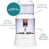 Amazon.com: Santevia Gravity Water System Filter | at Home Water Filter ...