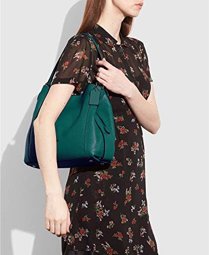 Coach Edie Shoulder Bag 31 Oxblood/Light Gold: Handbags: Amazon.com