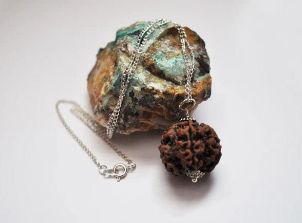 Hdbg Panch 5 Mukhi Rudraksha Original Certified पंचमुखी रुद्राक्ष ...