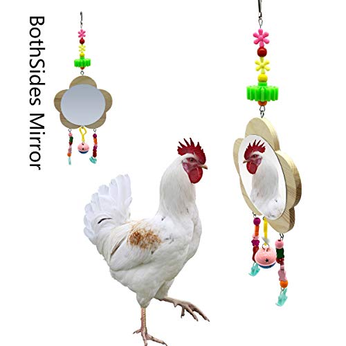 The Best Chicken Toys To Keep Your Flock Happy (2024 Guide)