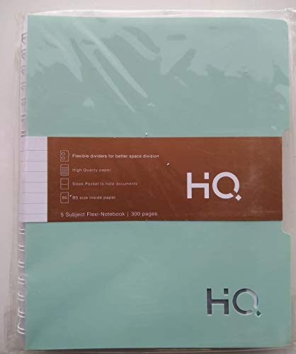 YOUVA Navneet H.Q B5 Size Diary with 300 Single Line Pages (Mint Green ...