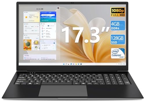 SGIN Laptop Computer, 17 inch Laptop with Intel Core i3-5005U Processor ...