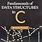 FUNDAMENTALS OF DATA STRUCTURES IN C : Horowitz, Sahni: Amazon.in: Books