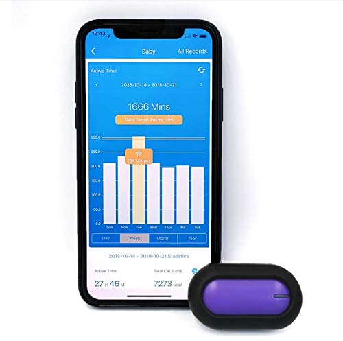 11 Best Dog Fitbits & Activity Monitors in 2022 | Technobark