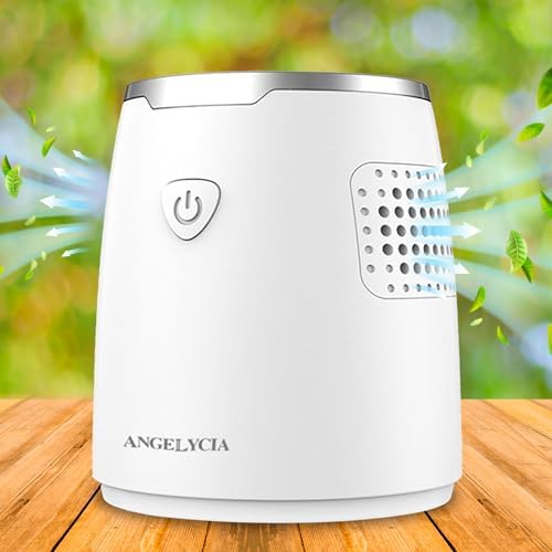 Amazon.com: 2 Pcs Refrigerator Deodorizer Refrigerator Odor Eliminator ...