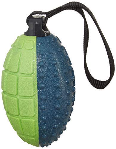 Buy RvPaws Dog Toy, Rugby Ball with Nubs and Grip, Squeaky, TRP, Blue ...