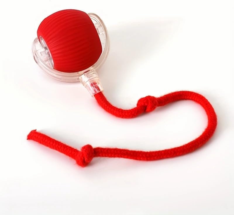 BKM Interactive cat Toy Ball, Smart Playing Toys for Cats, Automatic ...