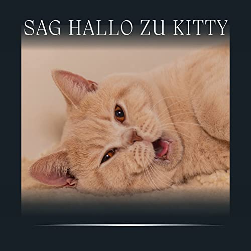 Amazon MusicでKatzenmusikのSag Hallo zu Kittyを再生する