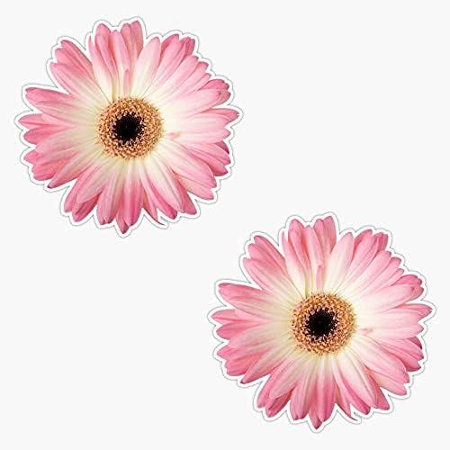 Amazon.com - Pink Daisy Vinyl Waterproof Sticker Decal Car Laptop Wall ...