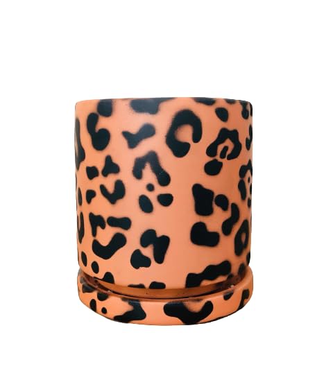 Amazon.com: Amorette Leopard Planter: 4” Terracotta Pot w/Handpainted ...