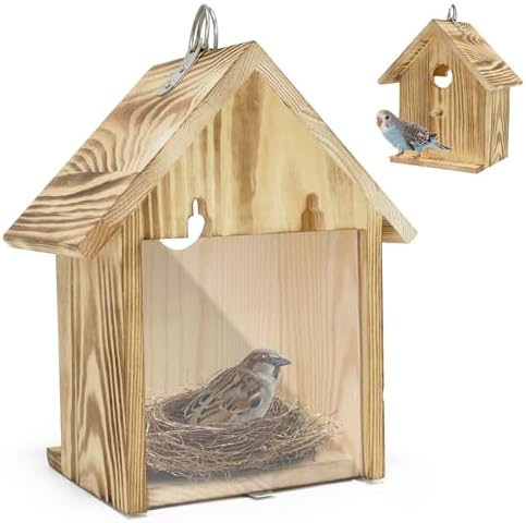 Amazon.com: Spy House See Through Two Way Mirrored Bird House - Suction ...