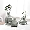 Amazon.com: Torre & Tagus Solid Color Round Art Glass Vase for Flowers ...