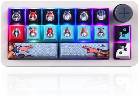 Amazon.com: HUIOP SK16QMK 16-Key Programmable Keyboard Tri-Mode 2.4G/BT ...