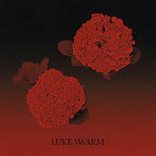 Amazon.co.jp: Luke Warm : Luke Warm: デジタルミュージック