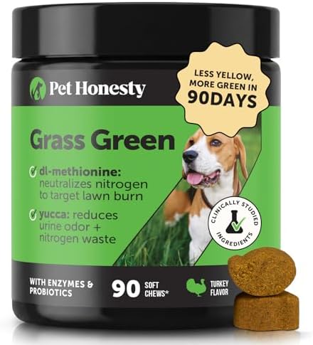 Amazon.com : Grass Green Dog Urine Neutralizer for Lawns - Stops Yellow ...