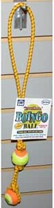 Amazon.com : BOINGO BALLS FOR KITTY DOUBLE 1.5" : Pet Toy Balls : Pet ...