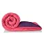 Solimo Microfiber Reversible Comforter