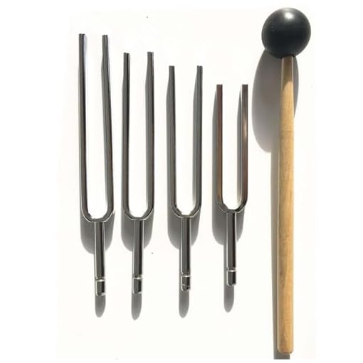 Dickly Ensemble de 4 diapasons avec dispositif d'accordage à maillet ...