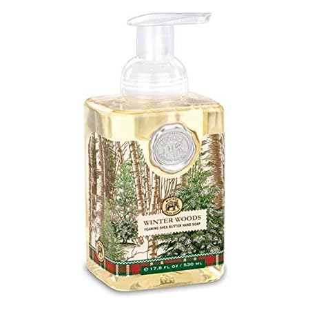 Amazon.com: Michel Design Works Foaming Hand Soap, Spruce : Beauty ...