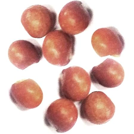 Hybrid Toor Dal Seeds / Hybrid Arhar Bean / Tur Pigeon Pea / Red Gram ...