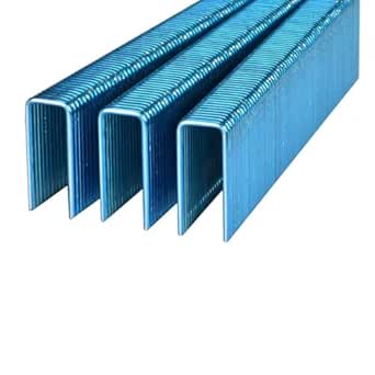 Amazon.com: 16GA Galvanized N13 Staples 1" Leg x 7/16" Crown 10,000ct ...