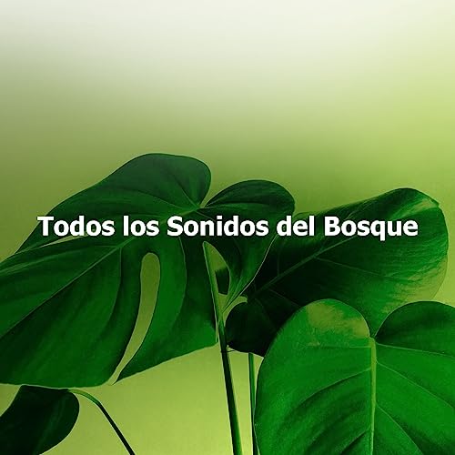 Amazon.com: Todos los Sonidos del Bosque : Naturaleza FX: Digital Music