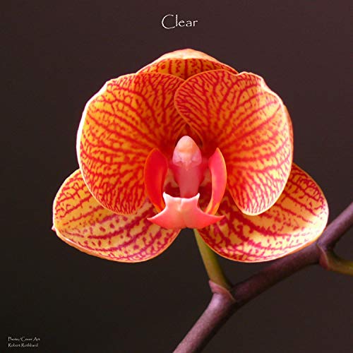 Play Clear by Robert Rothbard on Amazon Music