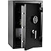 Amazon Basics Fire Resistant Security Safe with Programmable Electronic ...