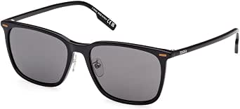 Zegna Sunglasses EZ 0223 -D Asian fit 01A Shiny Black, Vicuna/Smoke at ...